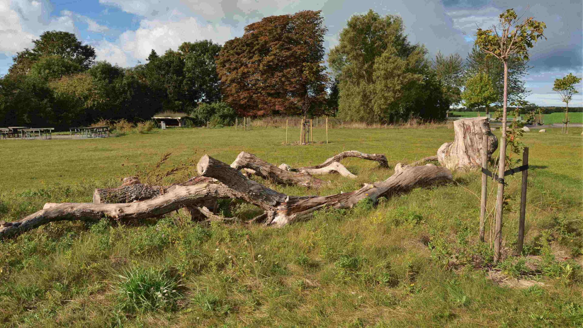 Beboerforeningen: Nyt – Stokkemarke